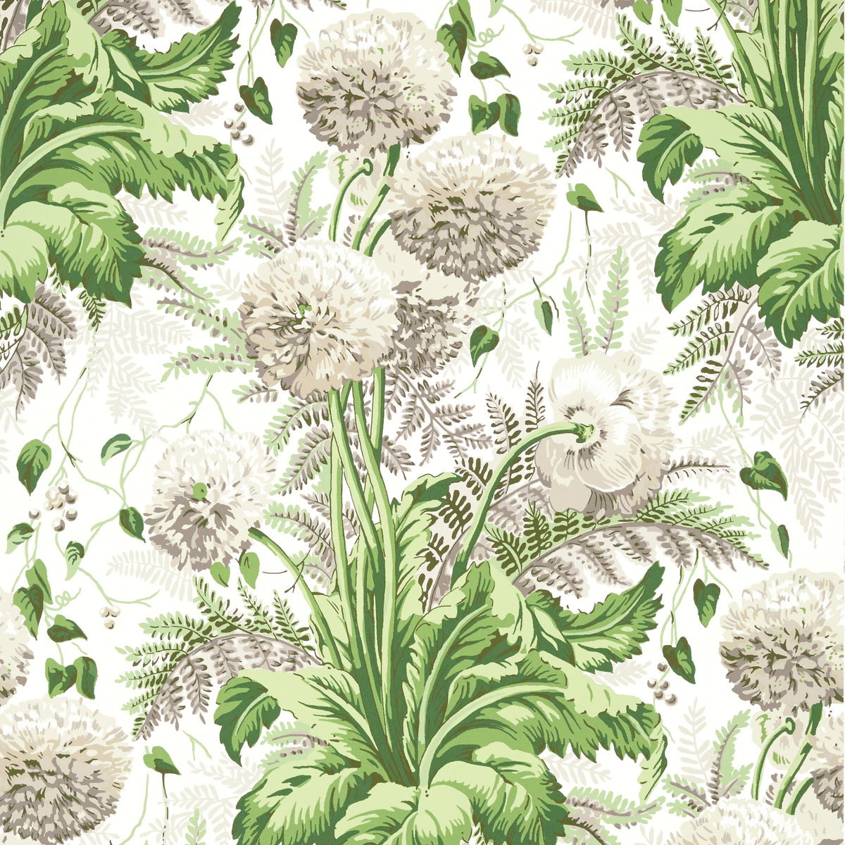 Anna French AT24538 DAHLIA Spring on White Wallpaper - Eade's – Eades ...