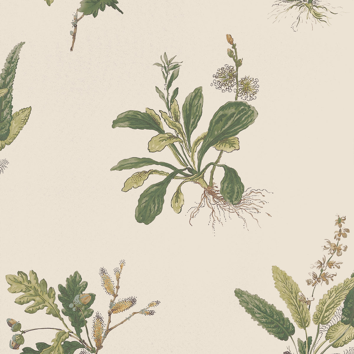 Anna French AT57853 WOODLAND Green on Natural Wallpaper - Eade's ...