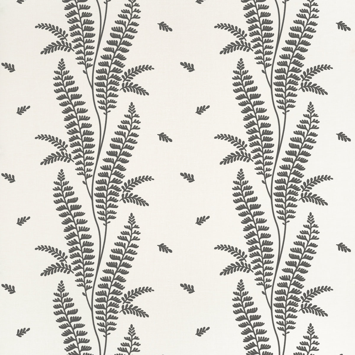 Anna French AT57884 ENSBURY FERN Black Wallpaper - Eade's – Eades ...