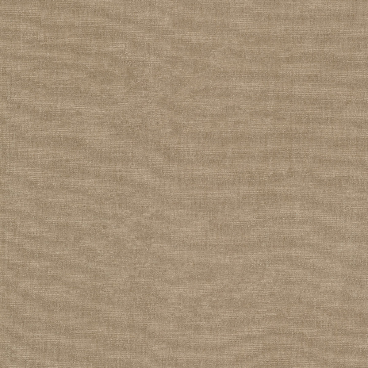 STOUT BOUN-14 BOUNTIFUL 14 CAMEL Fabric - Eades Wallpaper & Fabric ...