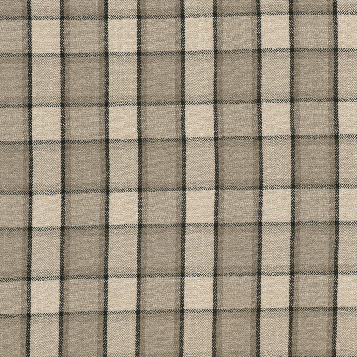 STOUT ZEPH-1 ZEPHYR 1 BLACK/CAMEL Fabric - Eades Wallpaper & Fabric ...